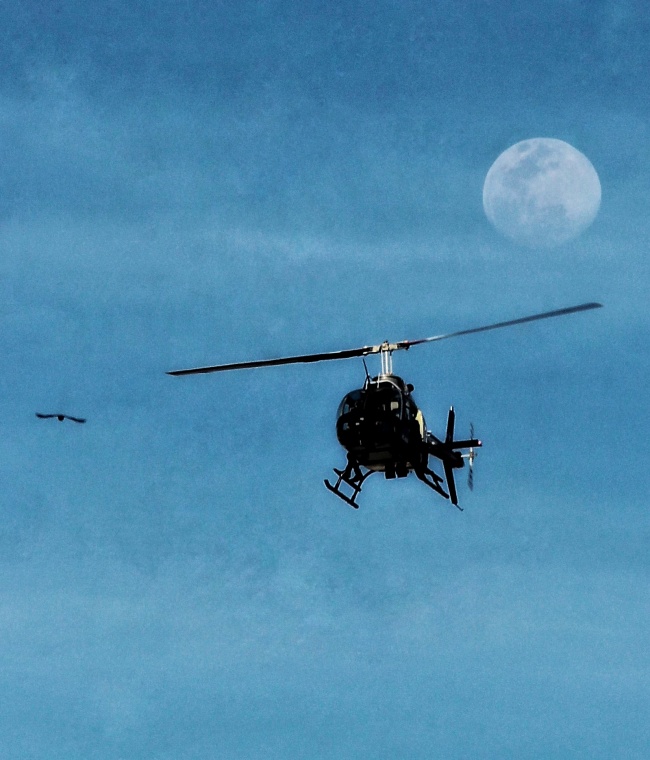 México en una Imagen - Juan Francisco Pizaña Morones