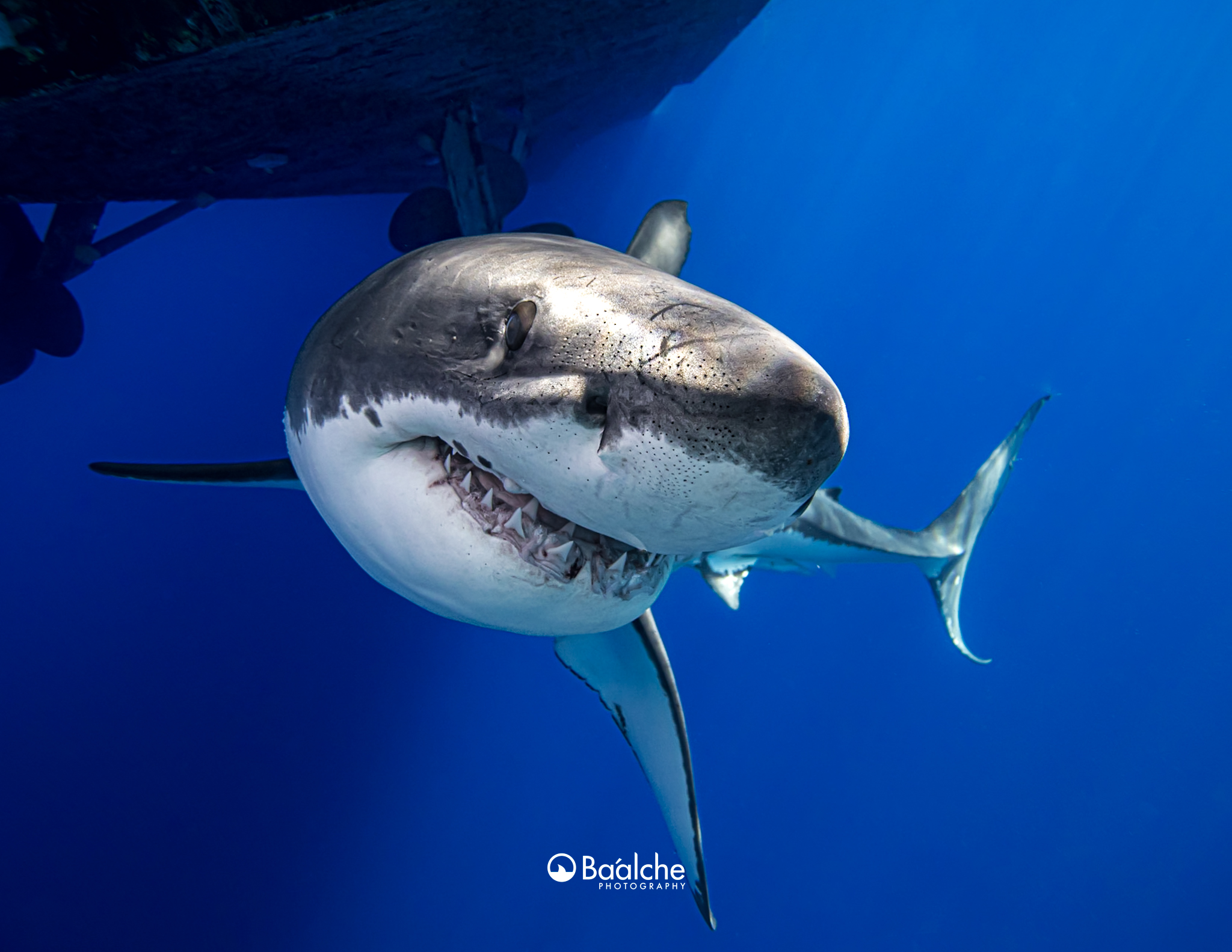 Fotografía sub acuática / Mizael Palomeque – Lo hecho en México